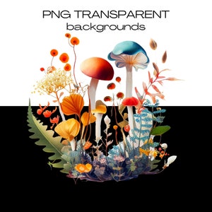 Forest Mushrooms Clipart Bundle, Mushrooms Png, Fantasy Art, Magic ...