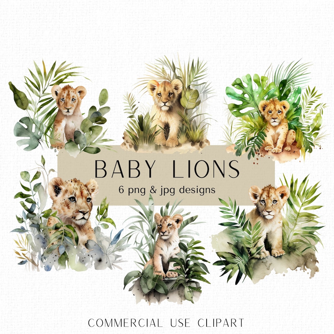 Baby Lions Clipart Bundle, Lion Cubs Clip Art, Cute Baby Jungle Animals ...