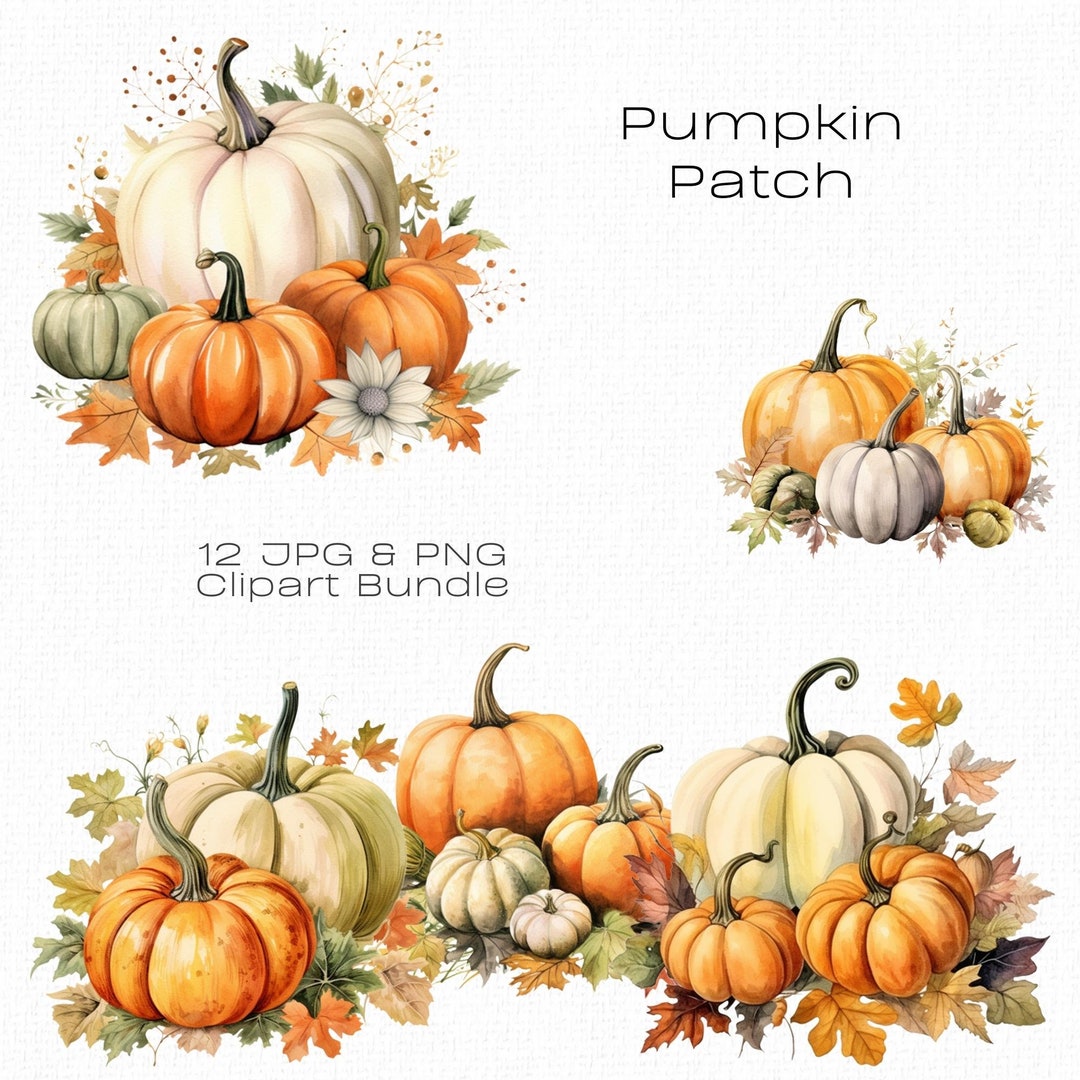 Pumpkin Patch Clipart Bundle, Pumpkin Harvest Clipart, Fall Decor ...