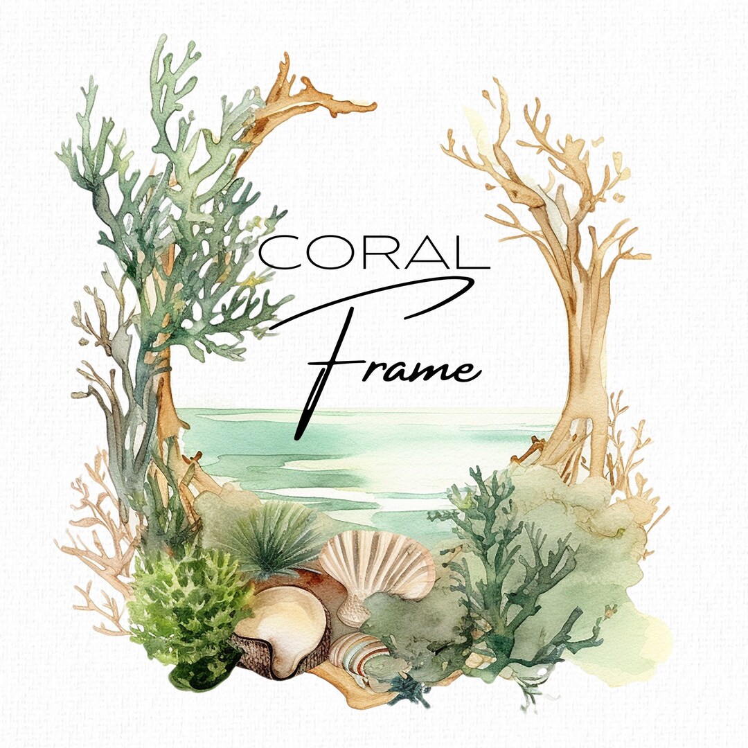 Coral Coast Frame, Beach Wreath, Tropical Shells, Copy Space for ...