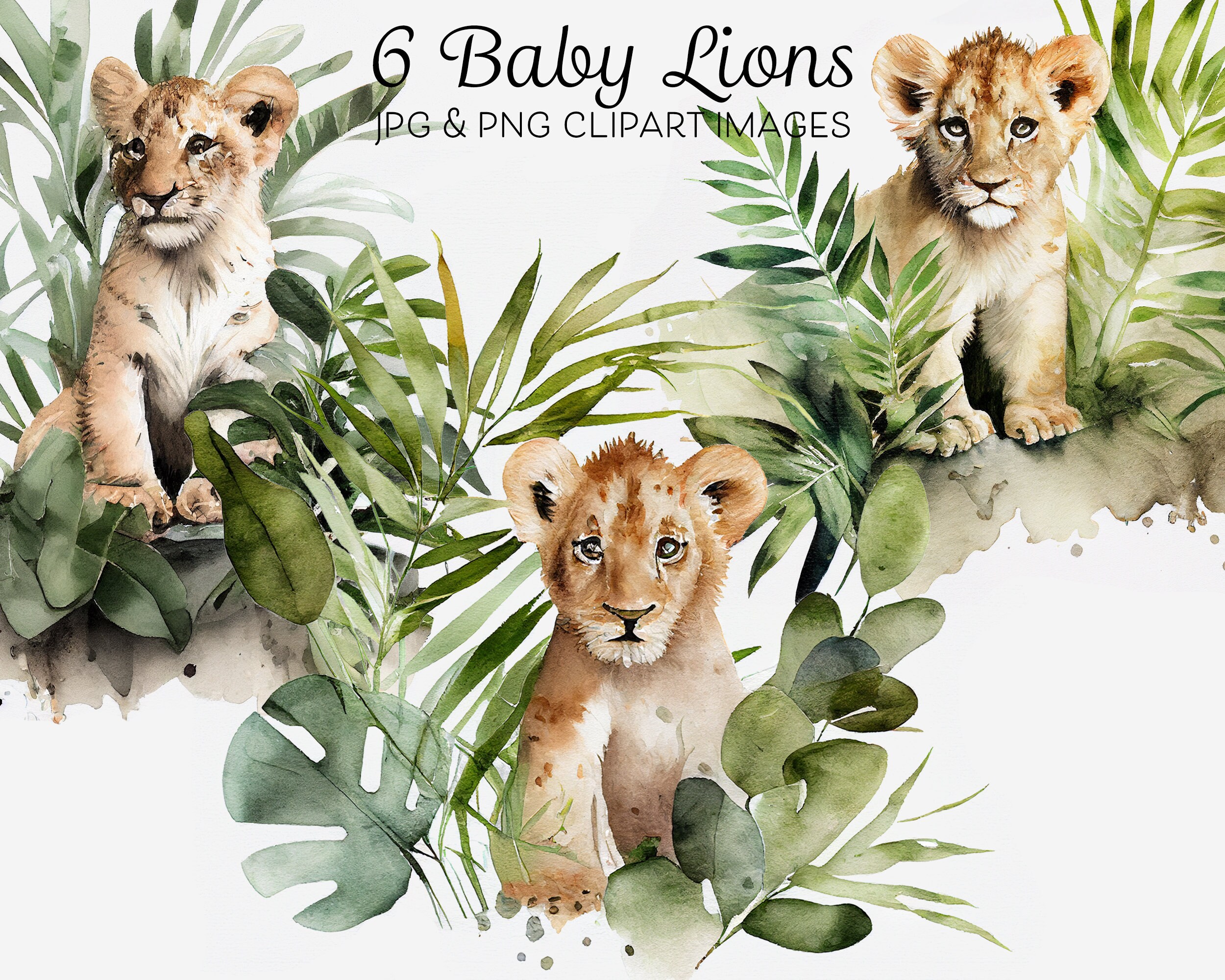 Baby Lions Clipart Bundle Lion Cubs Clip Art Cute Baby - Etsy