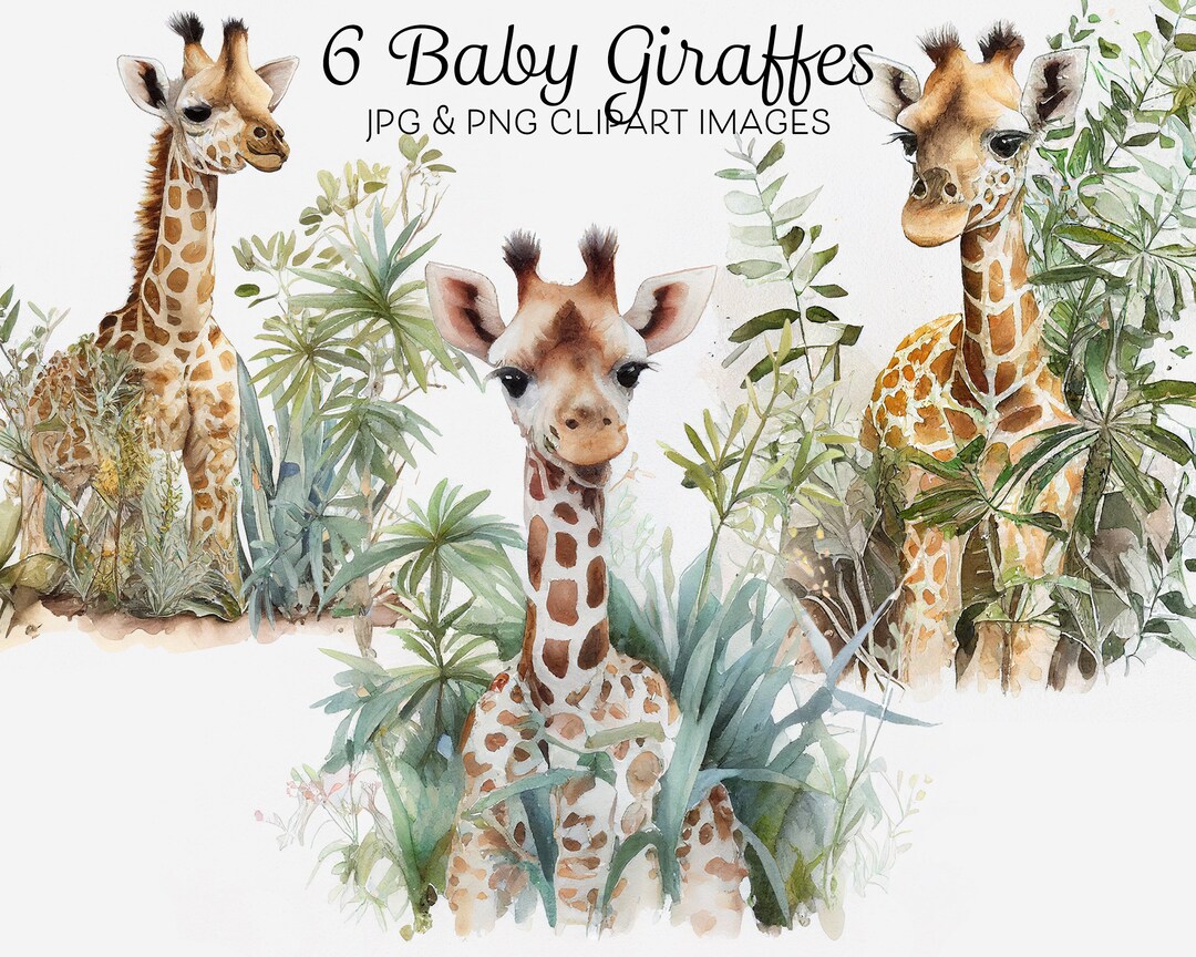 Baby Giraffe Clipart Bundle Cute Baby African Savannah Animals - Etsy