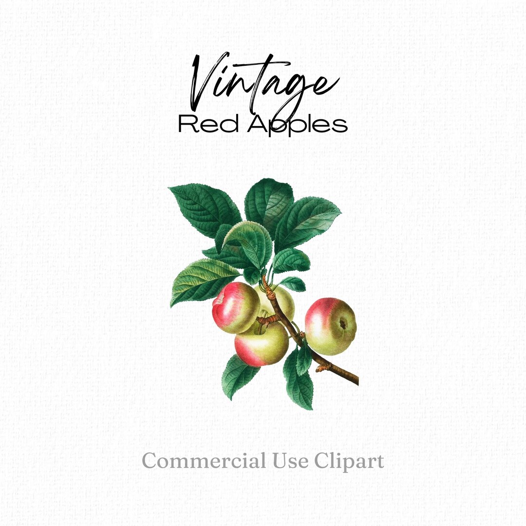 Red Apple Tree Branch Fruit and Leaves Vintage Clipart for - Etsy