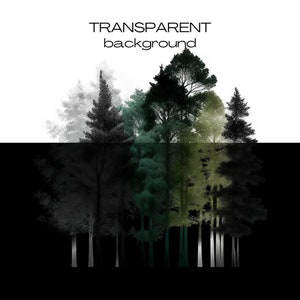 Forest Trees Clipart Bundle, Forest Png, Forest Flowers, Woodland Print ...