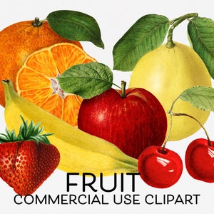 Fruit Clipart Bundle Banana Png Apple Orange Strawberry Cherries Lemon ...