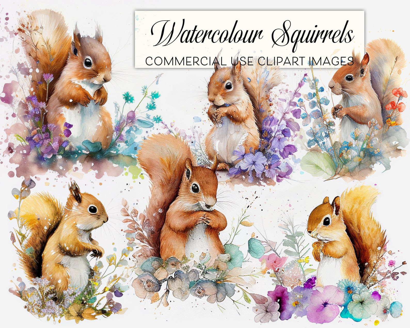 Watercolour Squirrels Clipart Bundle, Squirrels Png, Woodland Animals ...