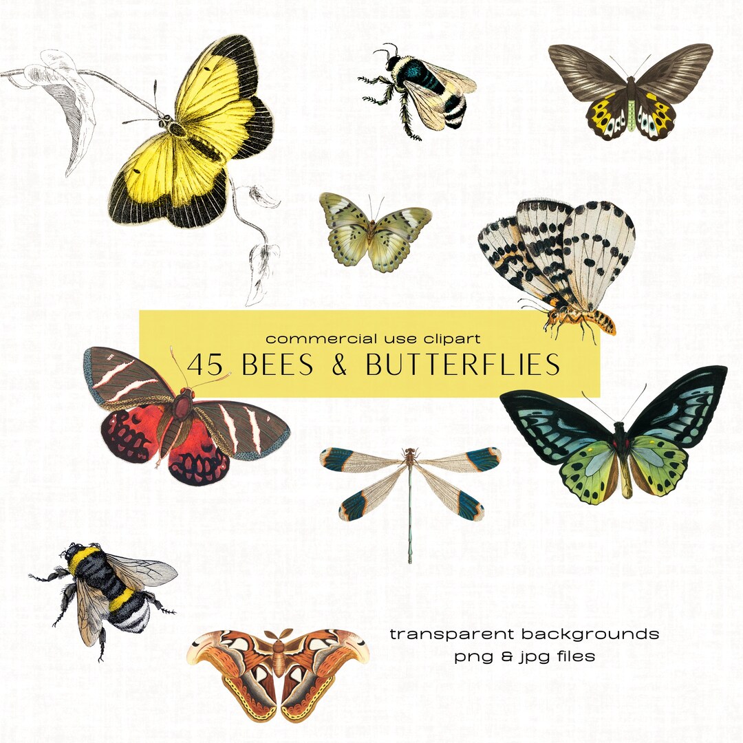 45 Colorful Butterflies Bees & Insects Clipart Bundle Vintage Butterfly ...