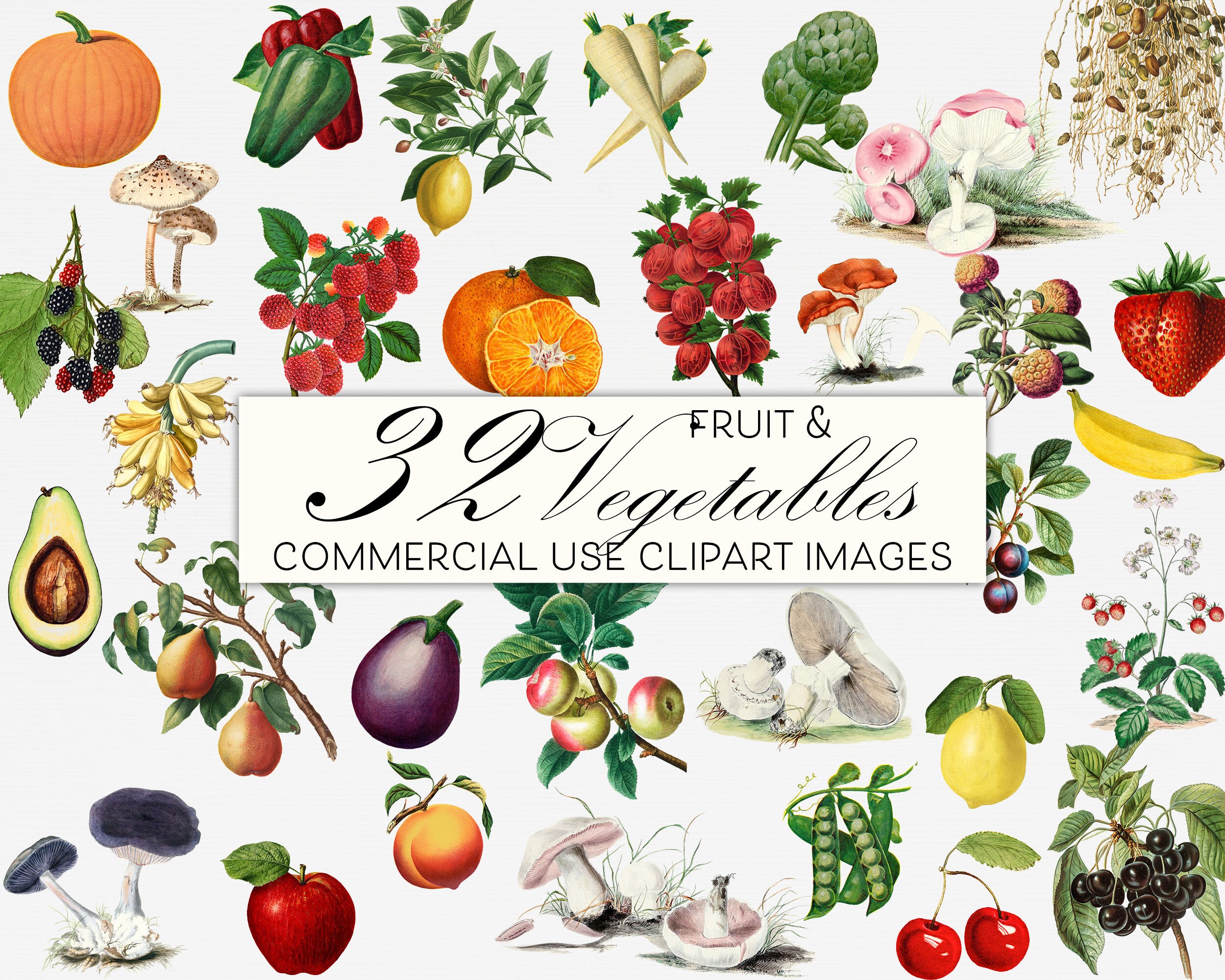 Mega Clipart Bundle 531 Commercial Use Clip Art Images - Etsy