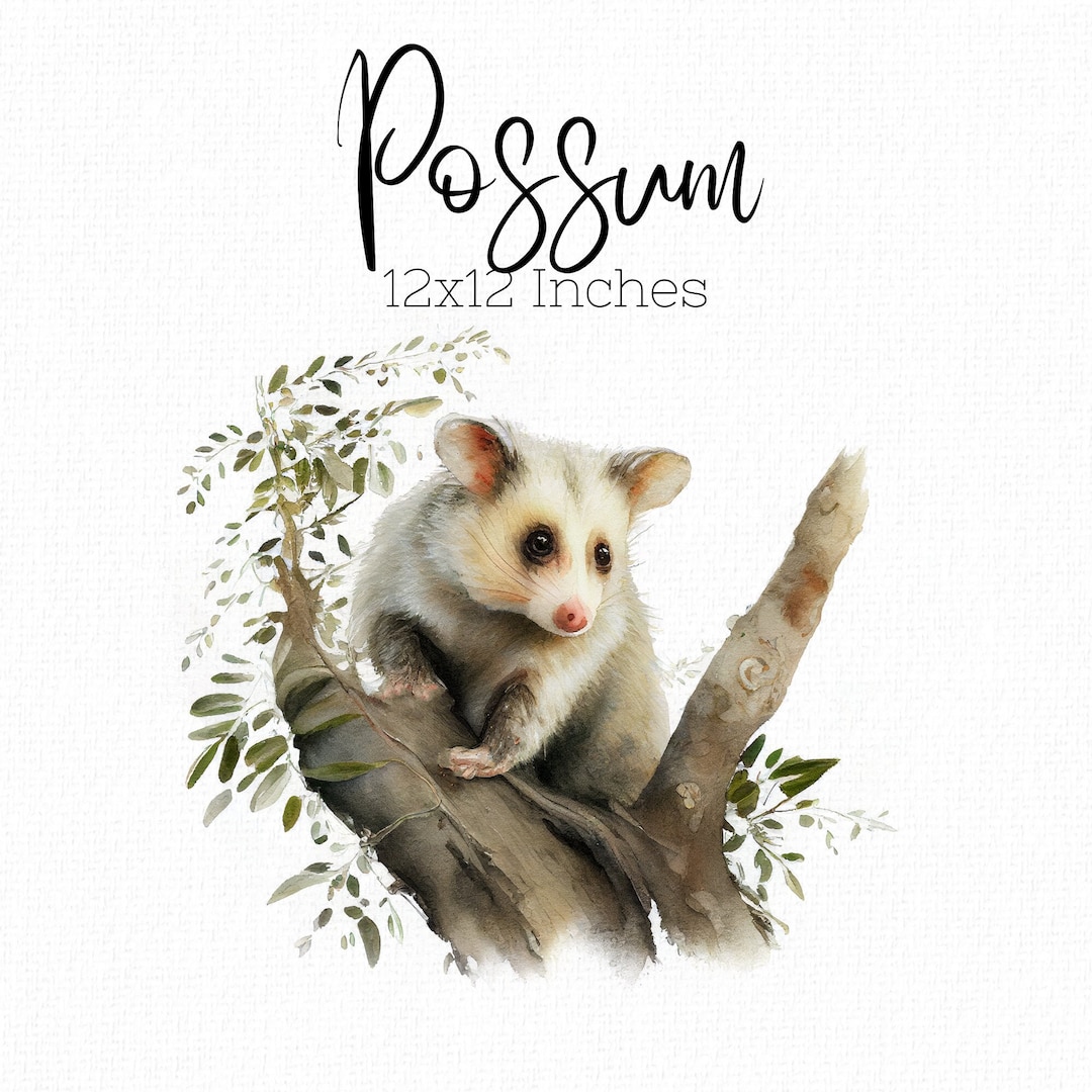 Possum Clipart Watercolour Possum Print Possum in Tree Australian Animal Cards Invitations ...