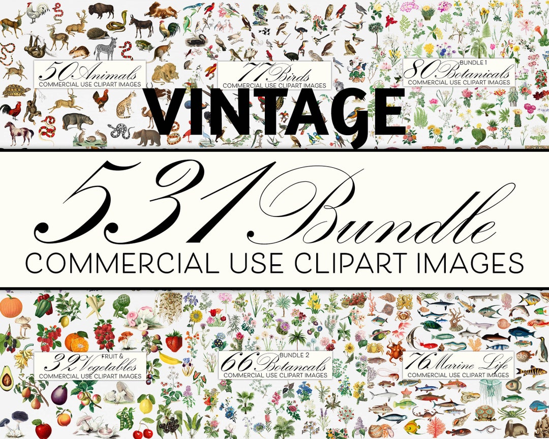 Mega Clipart Bundle 531 Commercial Use Clip Art Images - Etsy