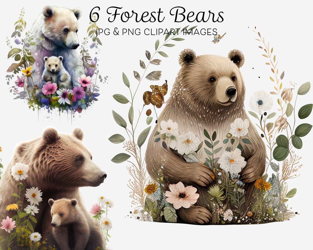 Bears Clipart Woodlands Animal Bundle Bears Png Cute Bears - Etsy