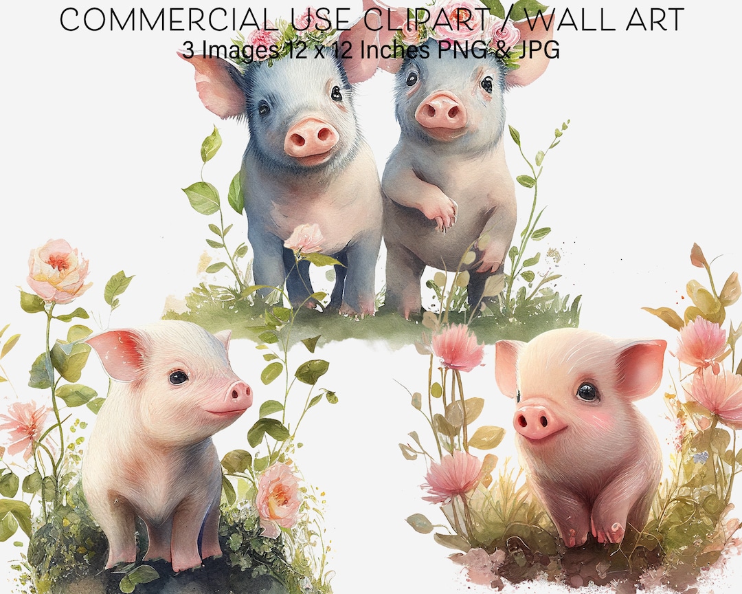Piglets Clipart Bundle Piglets Png Watercolour Piglets Baby - Etsy