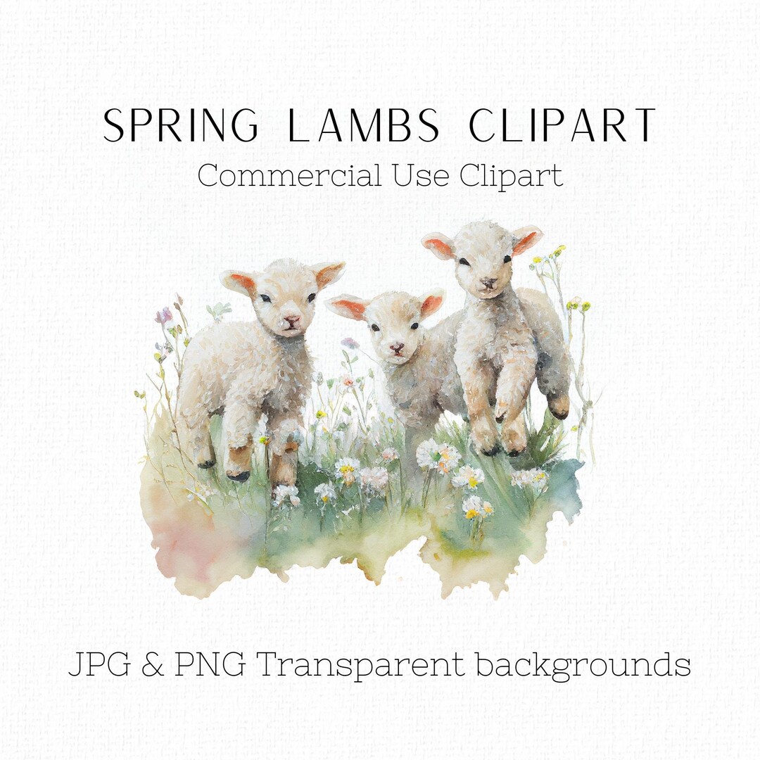 Baby Animal Png, Baby Animal Clipart, Watercolor Clipart, Flock of ...