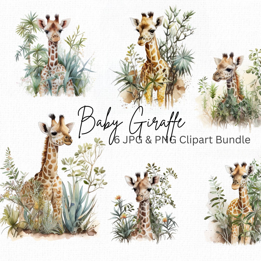 Baby Giraffe Clipart Bundle Cute Baby African Savannah Animals Giraffe ...