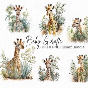 Baby Giraffe Clipart Bundle Cute Baby African Savannah Animals Giraffe ...