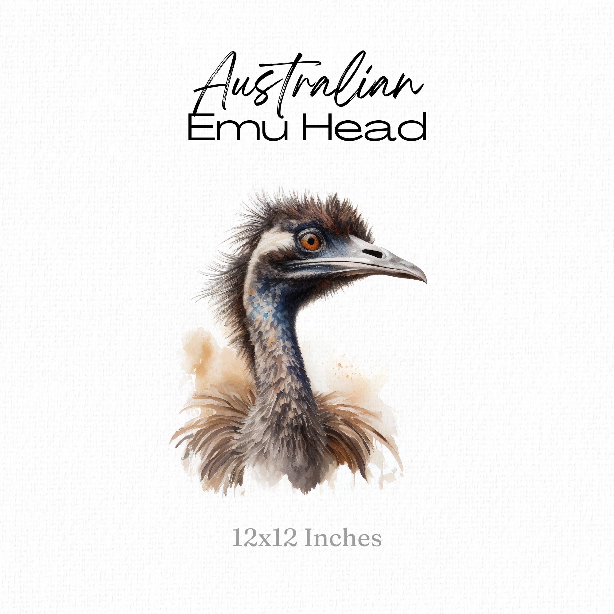 Australian Flightless Birds
