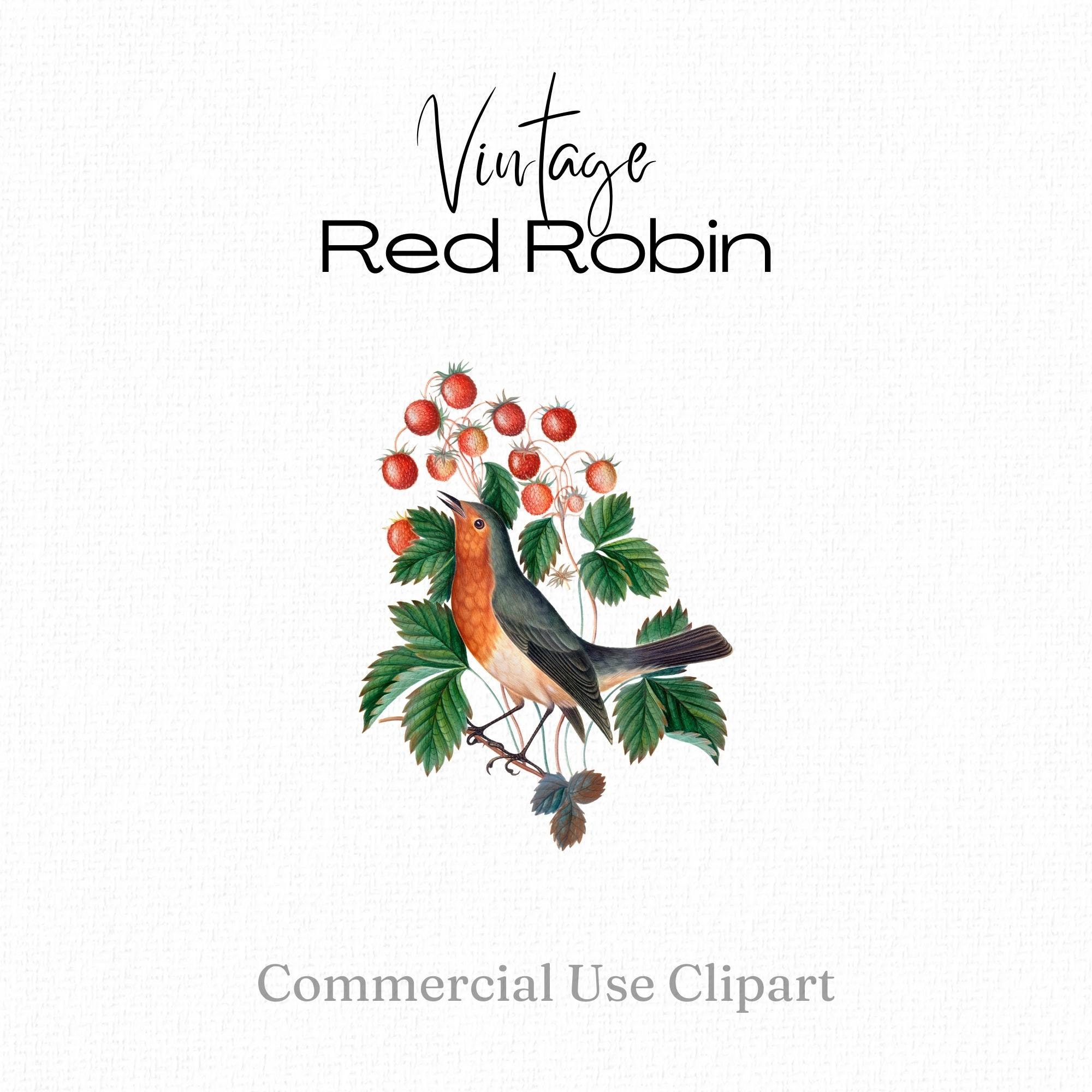 Red Robin Restaurant Clipart