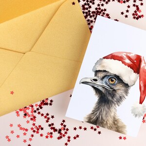 Emu Christmas Clipart, Aussie Christmas Clipart, Xmas Hats, Watercolour ...