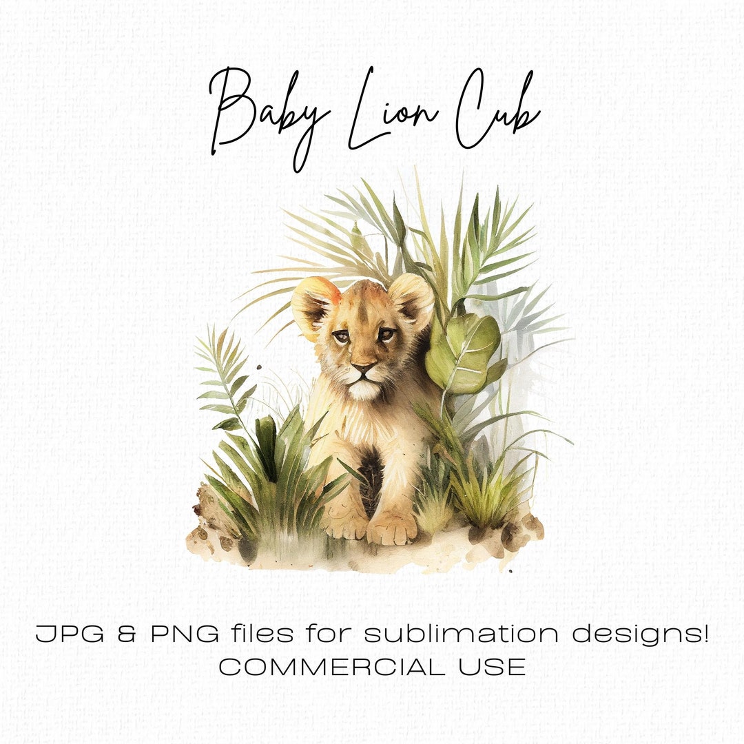 Safari Clipart, Safari Animal, Lion Png, Watercolor Lion, Baby Lion Cub ...