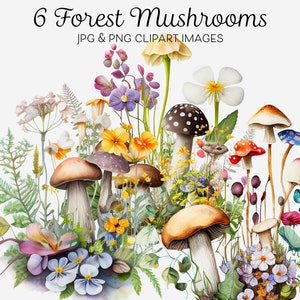 Forest Mushrooms Clipart Bundle, Mushrooms Png, Fantasy Art, Magic ...