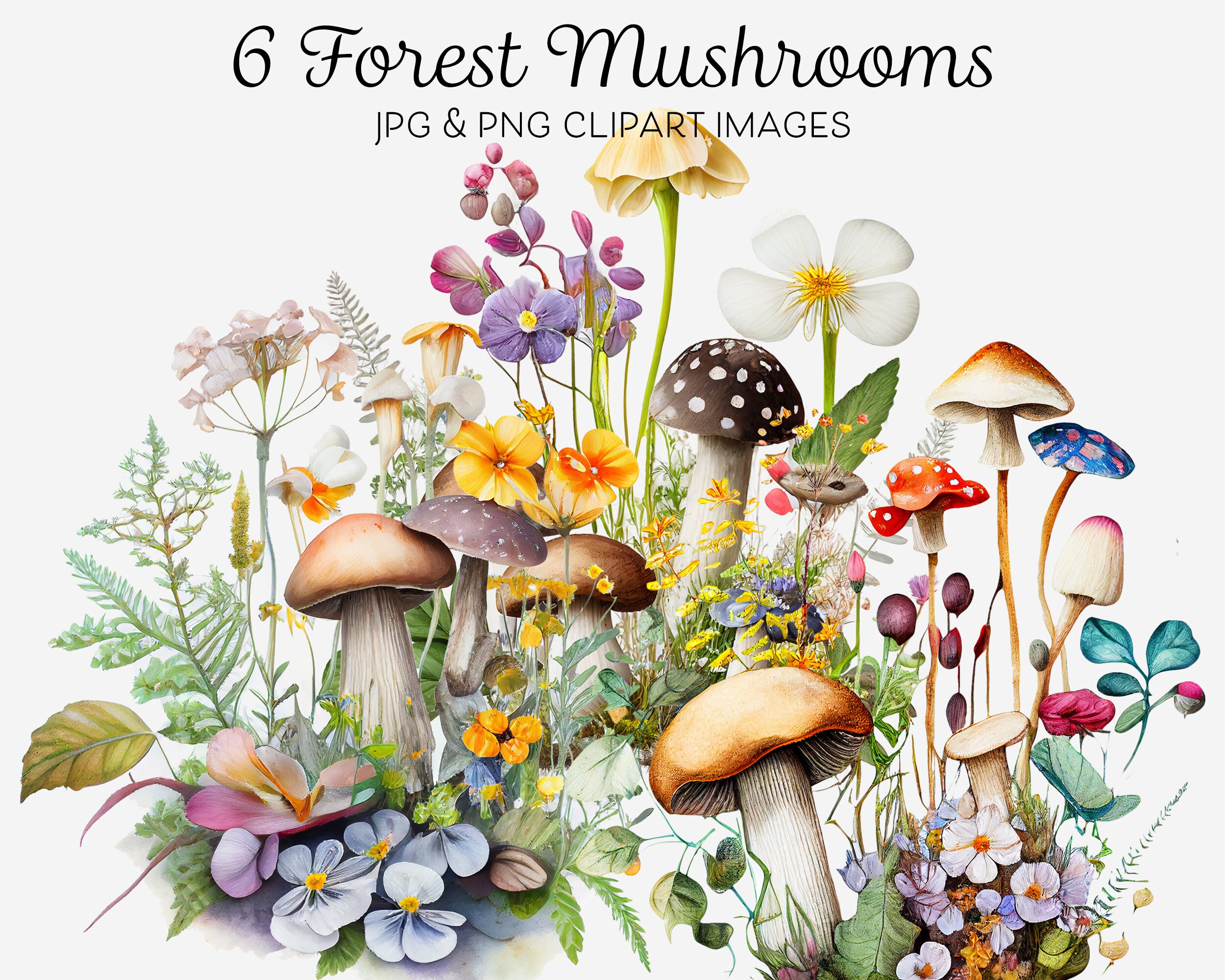 Forest Mushrooms Clipart Bundle, Mushrooms Png, Fantasy Art, Magic ...