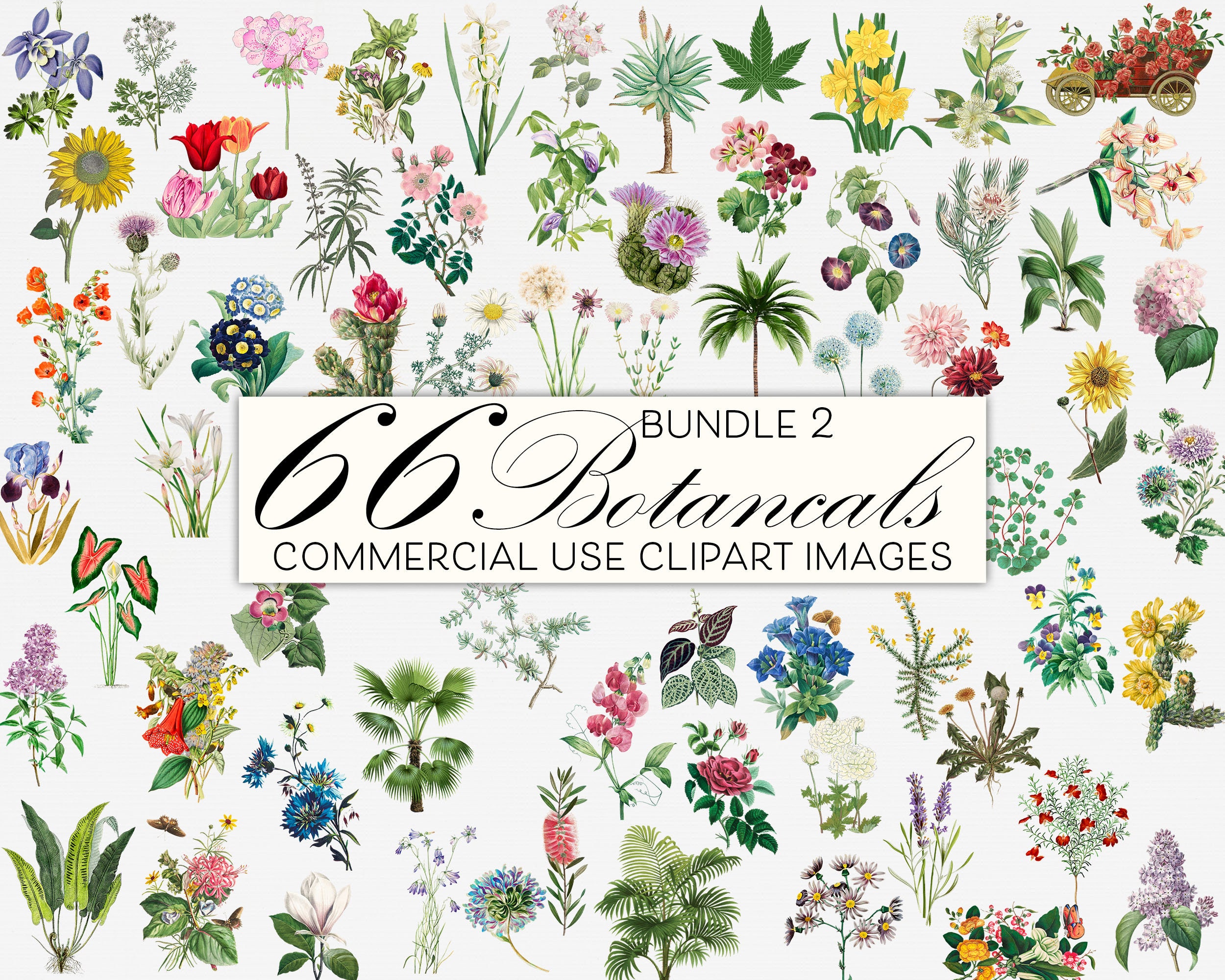 Mega Clipart Bundle 531 Commercial Use Clip Art Images - Etsy