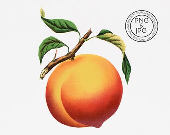 Peach Tree Clip Art - Etsy