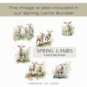 Baby Animal Png, Baby Animal Clipart, Watercolor Clipart, Flock of ...