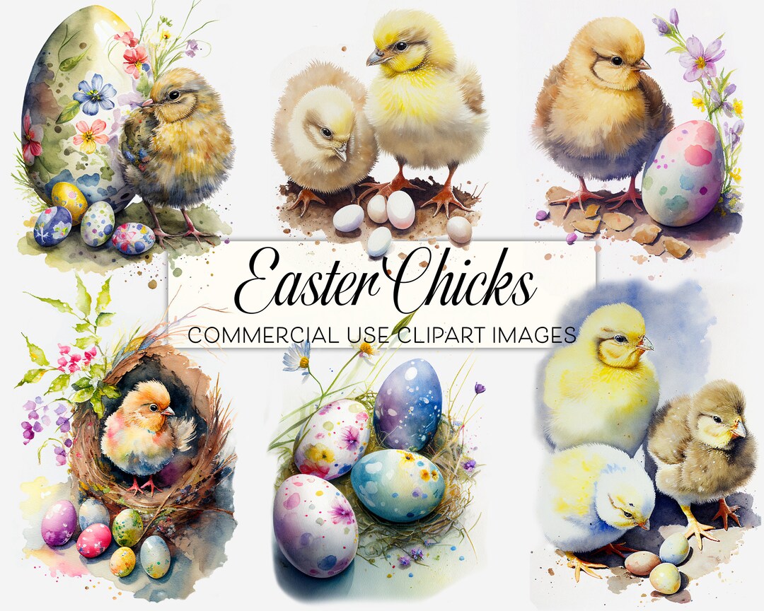 Easter Chicks Clipart Bundle Easter Png Cute Baby Chickens - Etsy