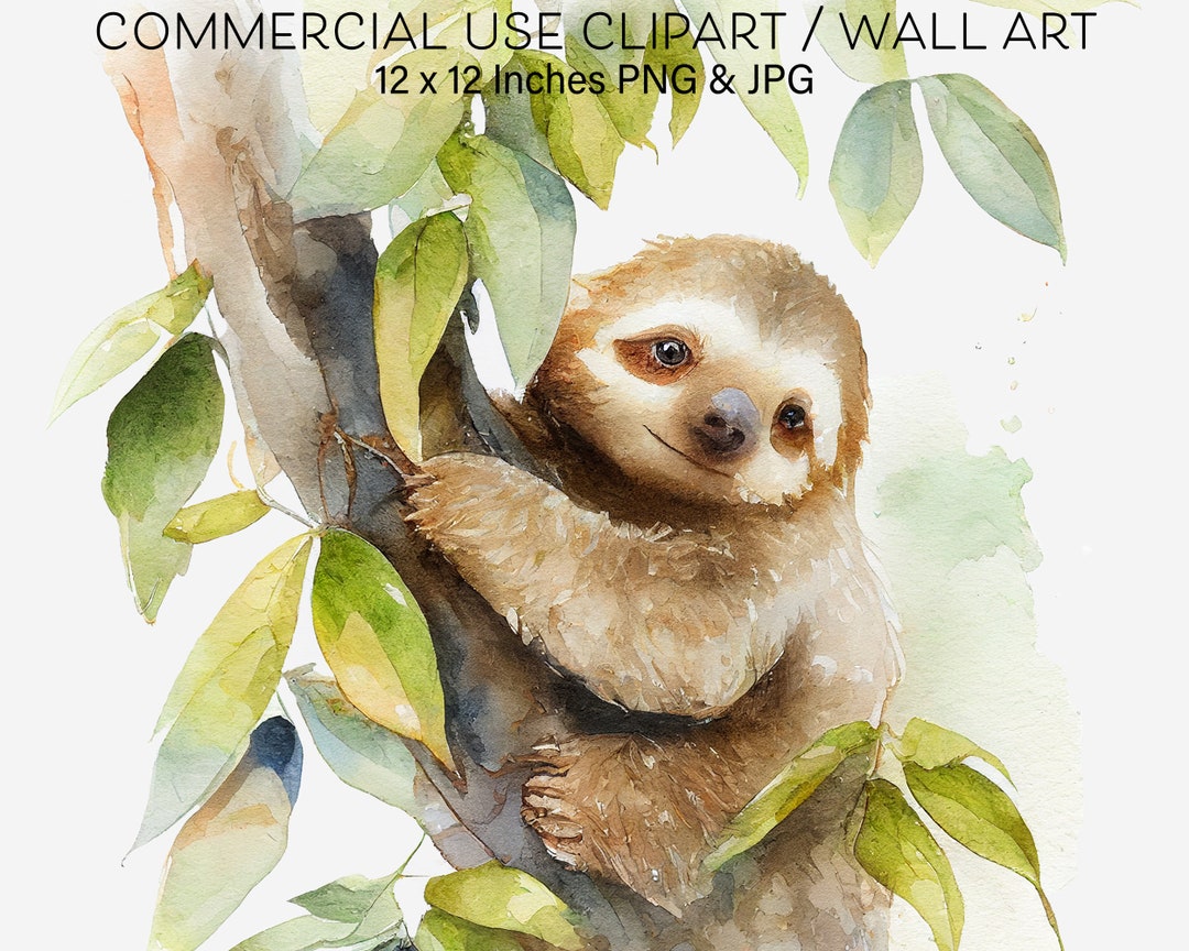 Cute Baby Sloth Clipart Watrcolour Sloth Sloth Png Clipart - Etsy