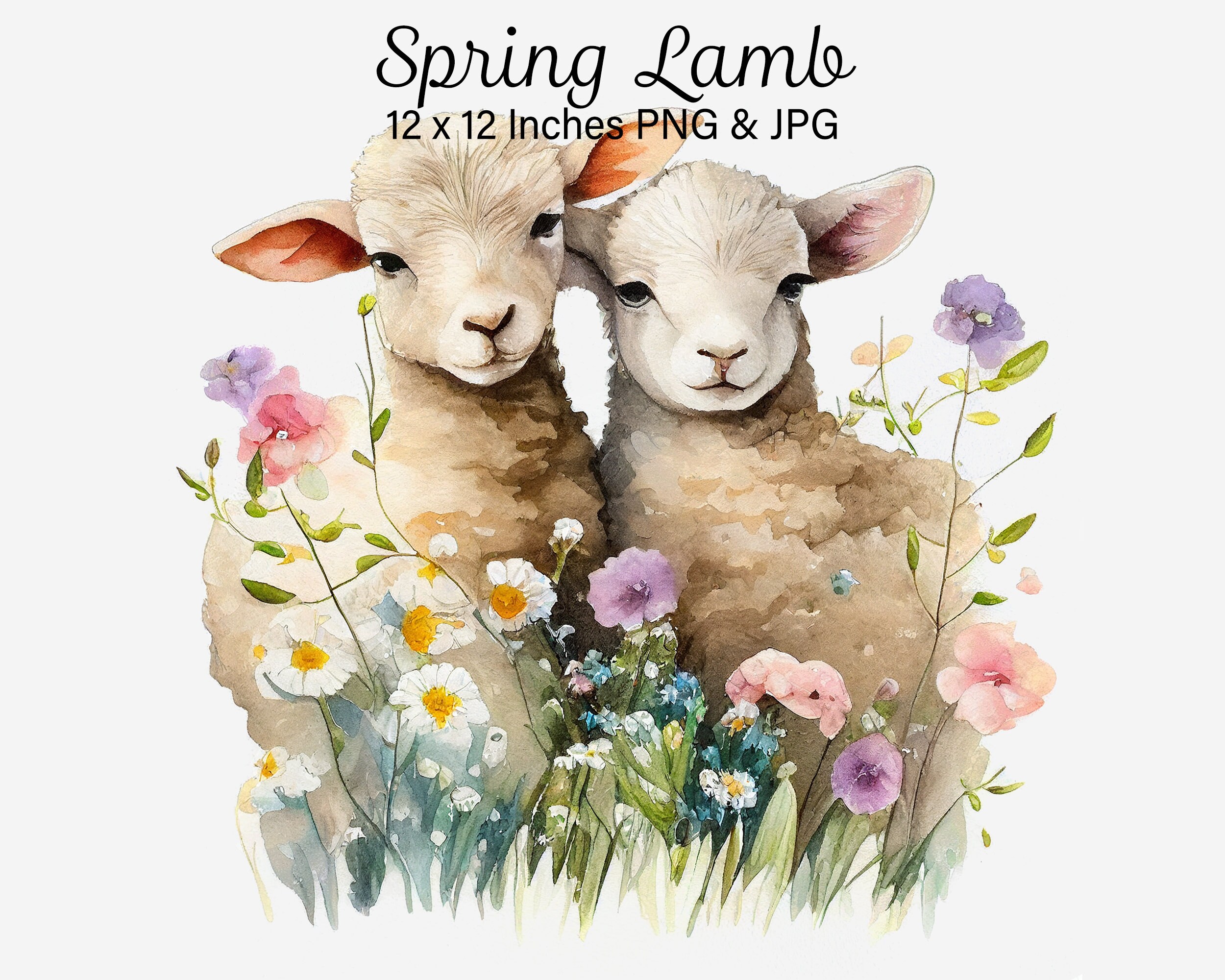 Cute Lambs Baby Animal Clipart Spring Lambs Lambs Png - Etsy