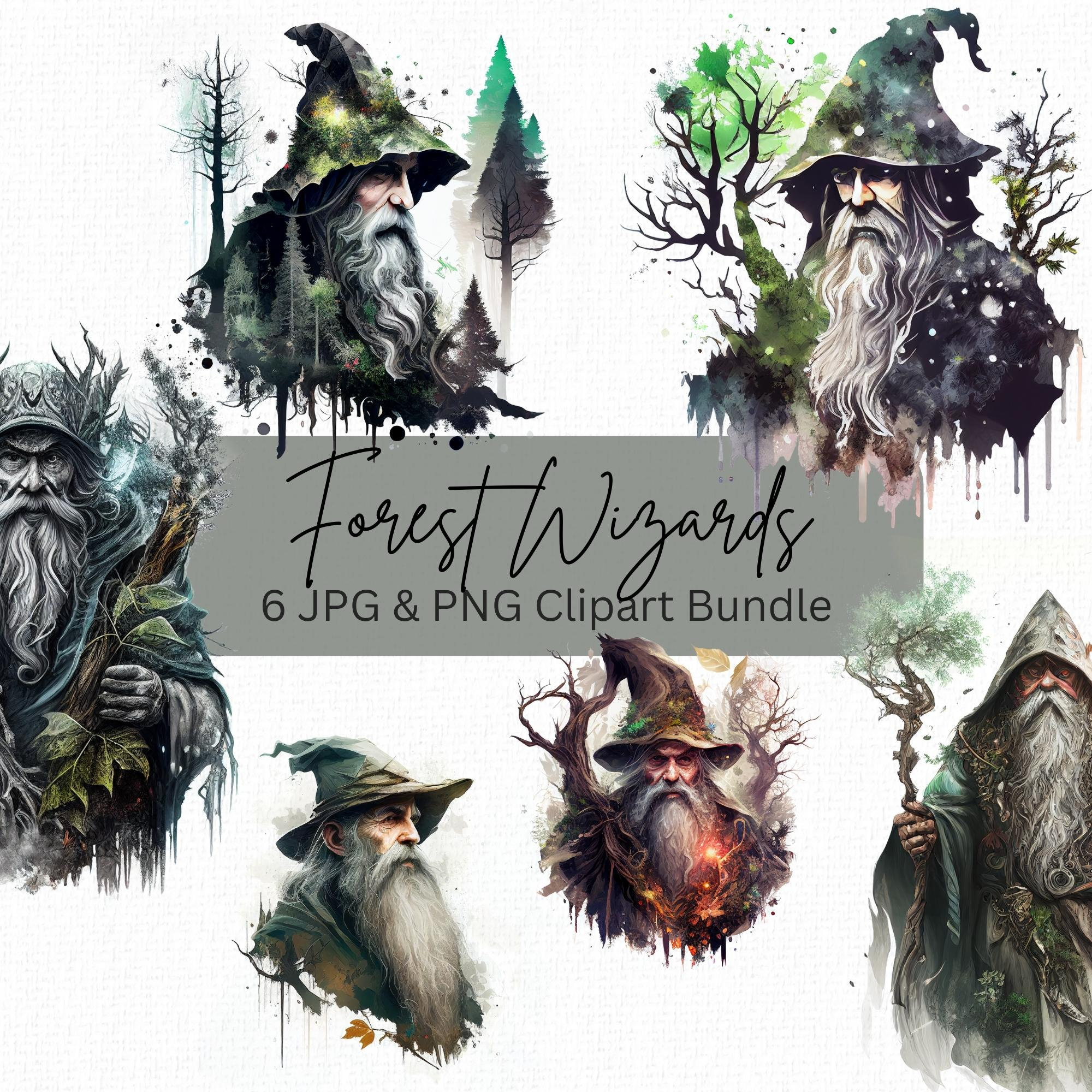 Forest Wizard Art
