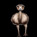 Cute Emu Clipart Emu Png Australian Bird Kawaii Chibi Cartoon ...