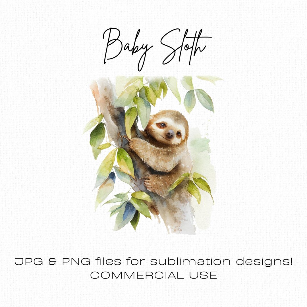 Cute Baby Sloth Clipart, Watrcolour Sloth, Sloth Png, Clipart for ...