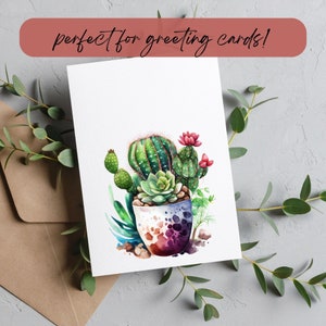 Succulent Clipart Botanical Clipart Succulents Png Flowering Cactus ...
