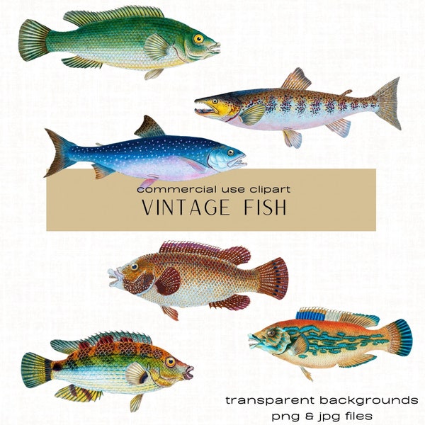 Vintage Fish Poster - Etsy