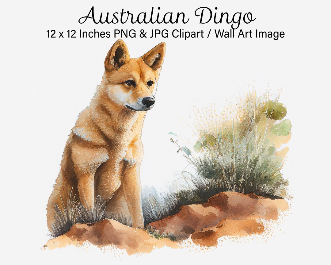 Dingo Clipart, Watercolour Dingo Print, Wild Dog, Australian Animal ...