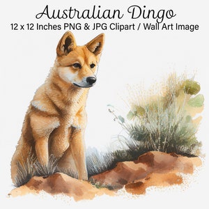 Dingo Clipart, Watercolour Dingo Print, Wild Dog, Australian Animal ...