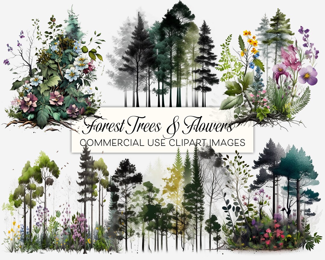 Forest Trees Clipart Bundle Forest Png Forest Flowers - Etsy