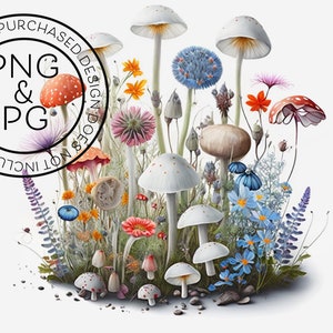 Forest Mushrooms Clipart Bundle Mushrooms Png Fantasy Art - Etsy