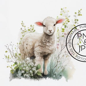 Spring Lambs Clipart Bundle Watercolour Lamb Baby Sheep Png - Etsy