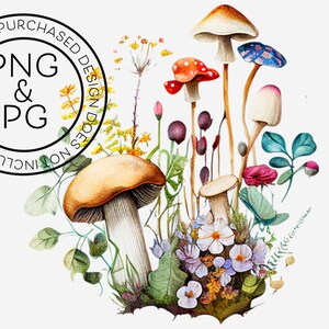 Forest Mushrooms Clipart Bundle Mushrooms Png Fantasy Art - Etsy