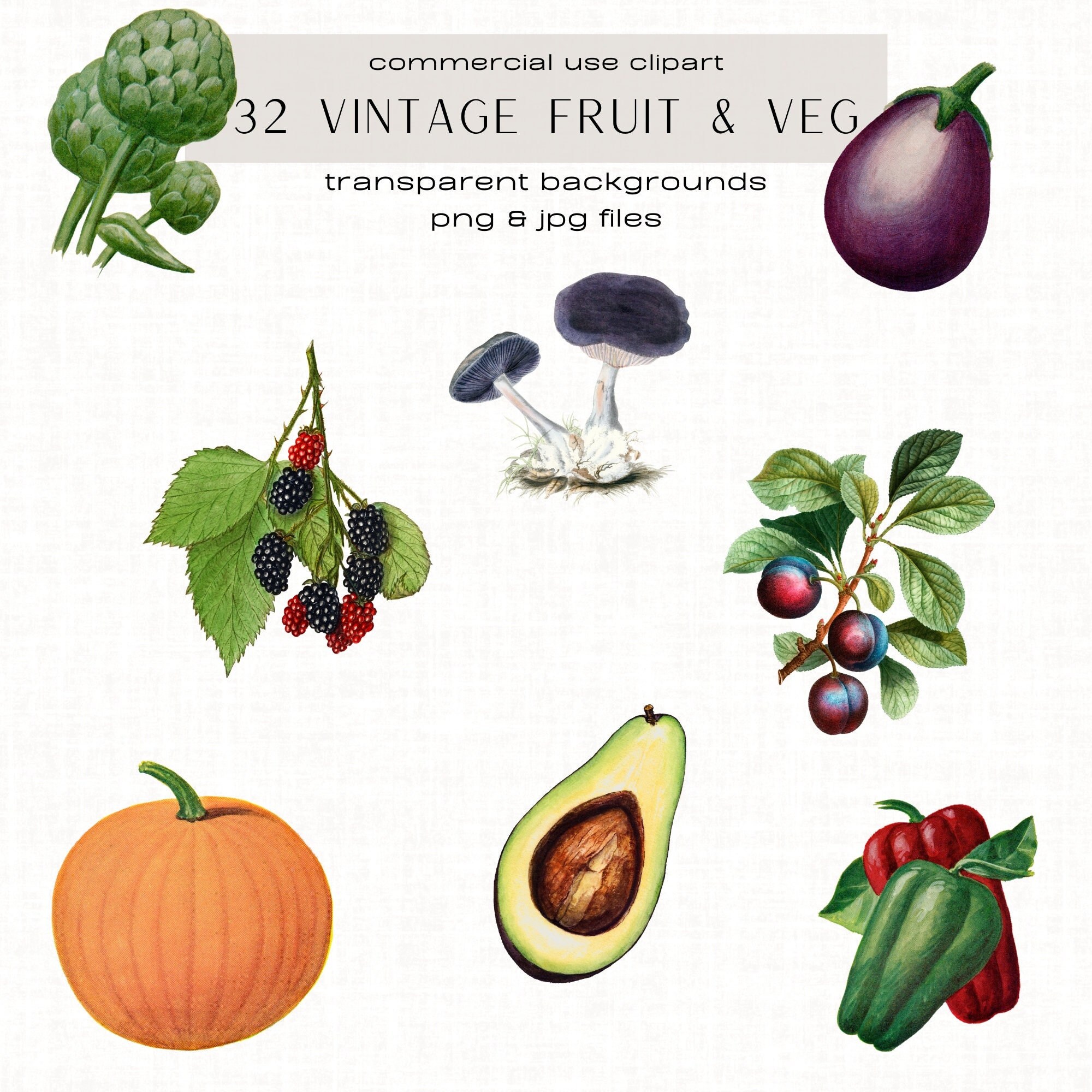 Fruit Food Group Clipart