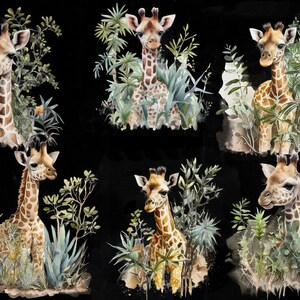 Baby Giraffe Clipart Bundle Cute Baby African Savannah Animals Giraffe ...