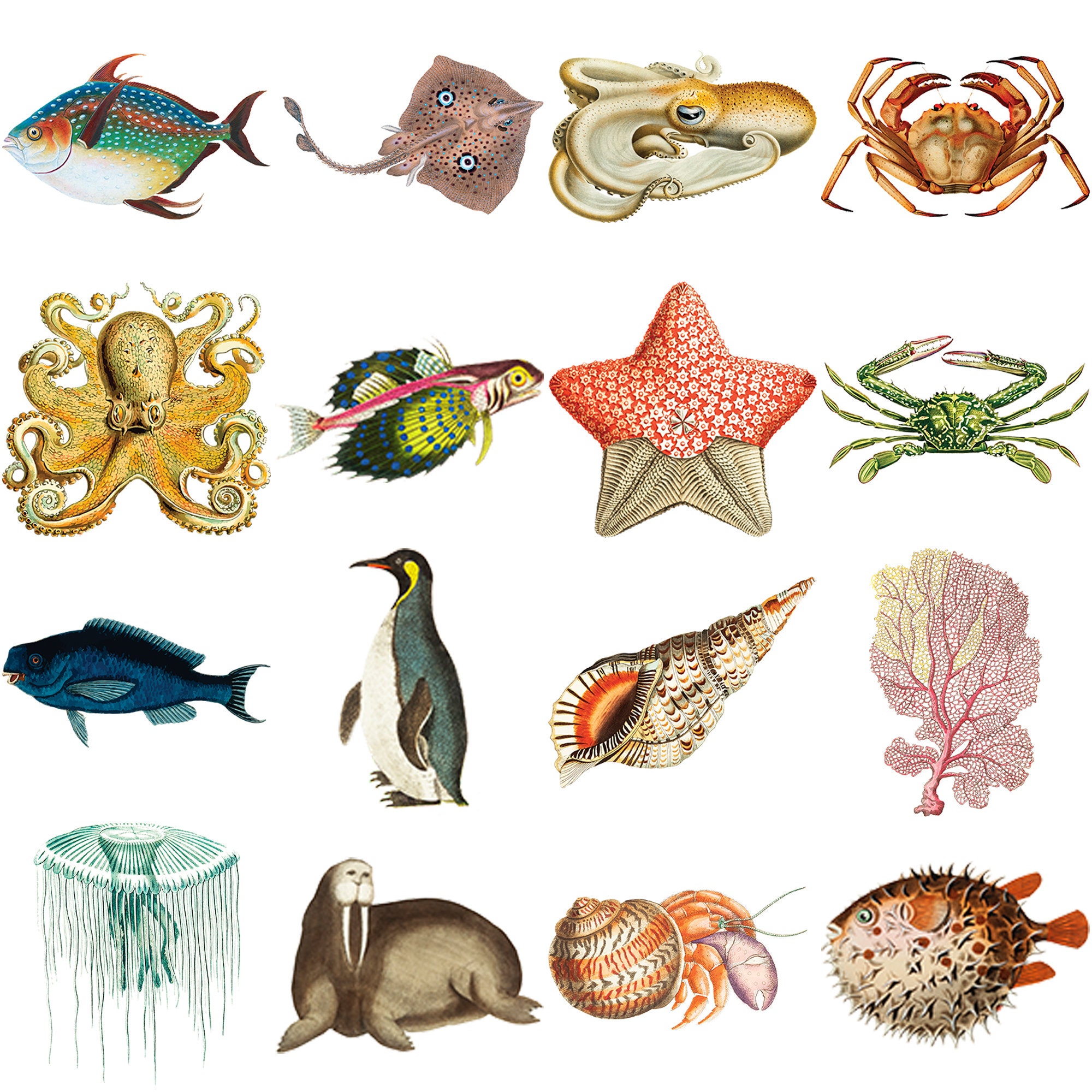 Sea Animals Watercolor Clipart Digital Scrapbook Vintage Clipart Ocean ...