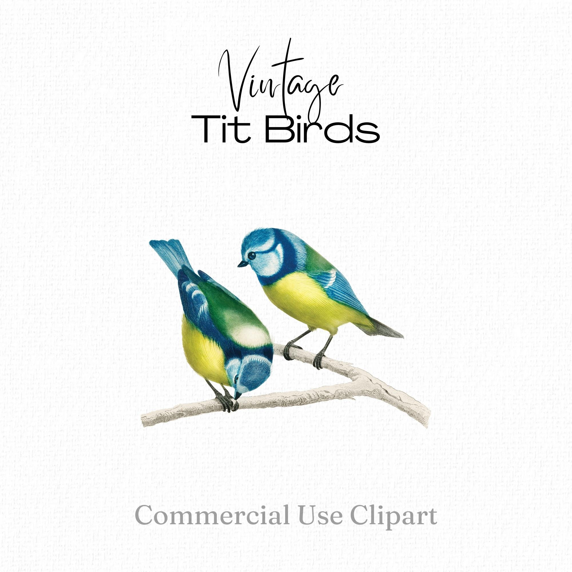 Bluetit Clipart People