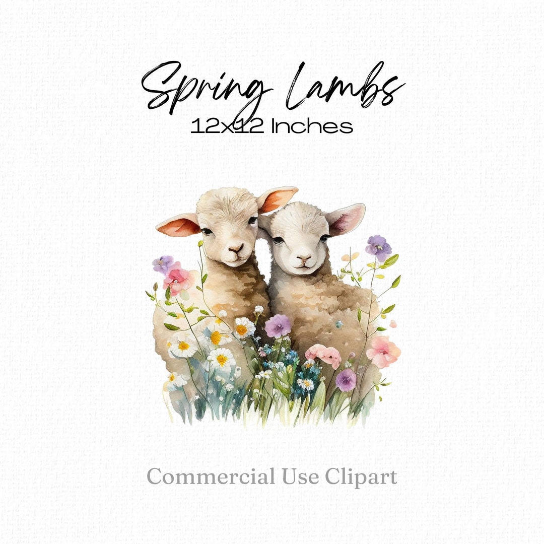 Cute Lambs Baby Animal Clipart Spring Lambs Flowers Lambs Png Floral ...