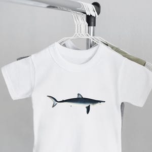 Shortfin Mako Shark Clipart, Shark Png, Isurus Oxyrinchus, Shark ...