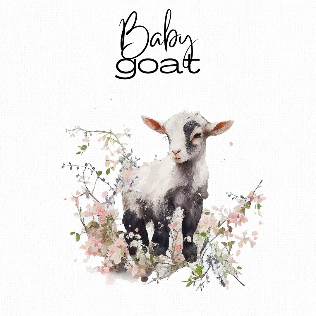 Baby Goat Floral Clipart Image Watercolour Goat Illustration Kid ...