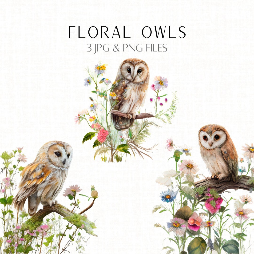 Floral Owl Clipart Bundle of 3, Watercolour Owls, Owls Png, 12x12 ...